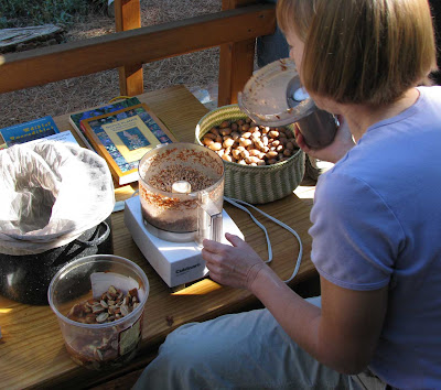 earth home garden: Orchid Black's Acorn Processing Class...