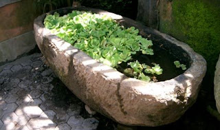 balipide: Palungan
