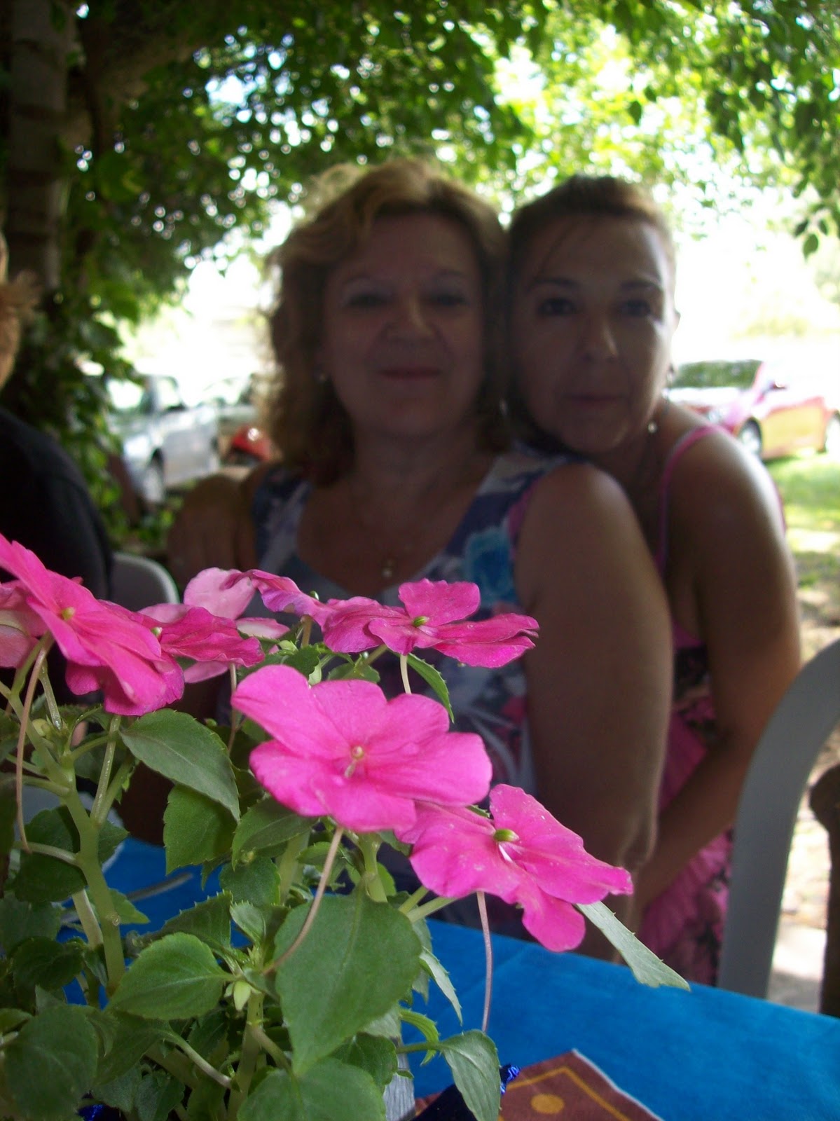 Escuela Media 267 "Tte Daniel Jukic": DOCENTES REUNIDOS