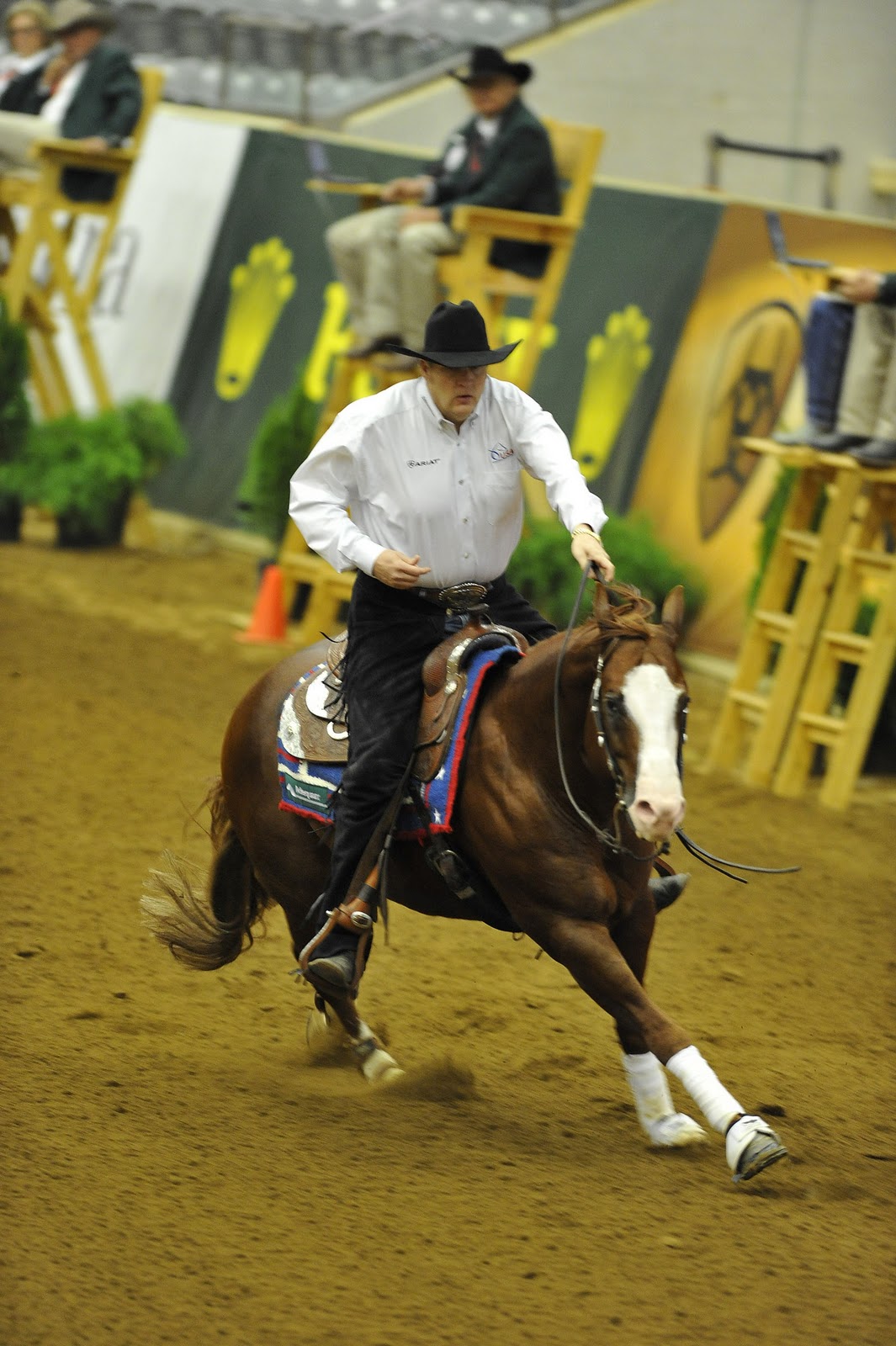 WEG Central: WEG Reining Final Results: USA Successfully Defends ...