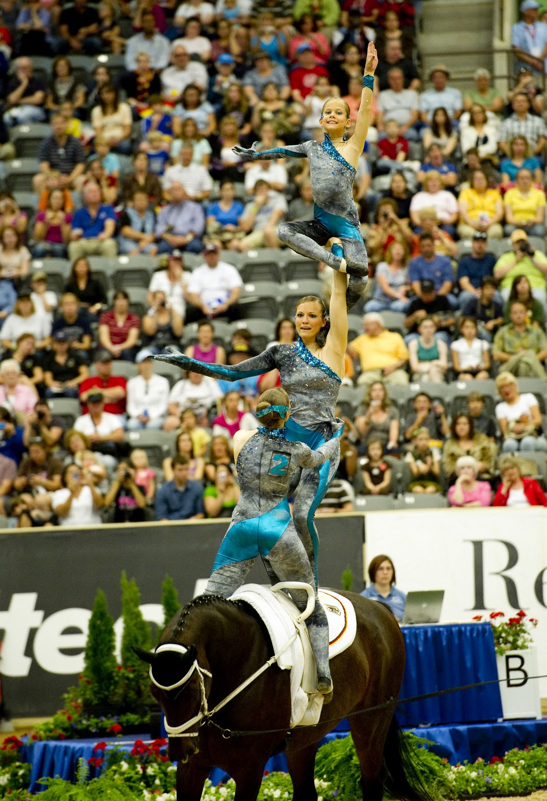 WEG Central: WEG Vaulting: Germany Tops Team Standings In Vaulting ...