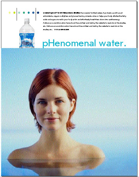 Ellen Swandiak Design: Bottled Water Ad Campaign
