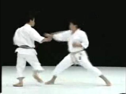 DOJO SHUDOKAN - JUDO - JIU JITSU: ATEMI WAZA: URAKEN UCHI