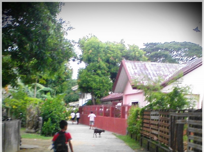 Woman In Digital: Visiting My Grandparents in Bacnotan, La Union