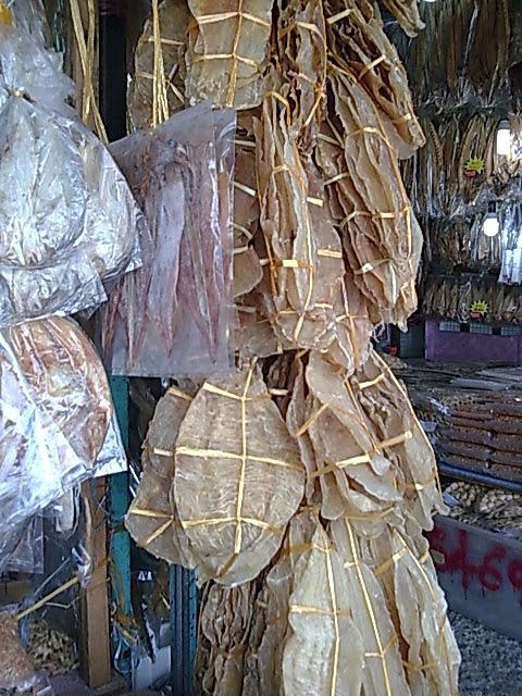 ~Puteri Bunga Semalu~: Bayu Dari Lembah