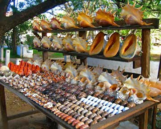 Naivasha Rain: The Changing Kenya Coast