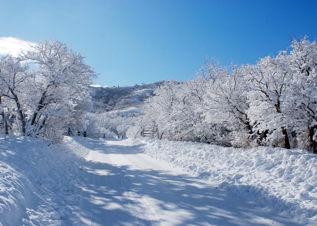 Whisperings of Nature Photography: Winter scene in South East Tooele, Utah