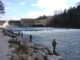 Michigan Steelhead Report: Fishing at Tippy Dam (north side)
