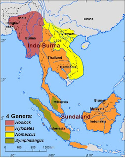 Bangsa Austronesia dan Sundaland II (lanjutan)