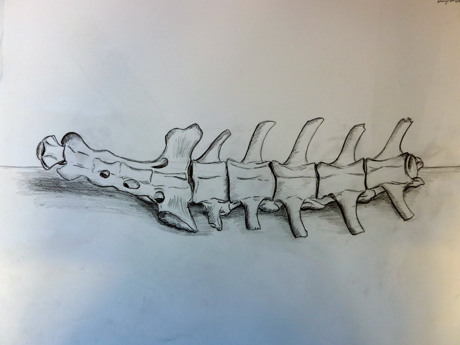 SCC Art: 11/22/09 - 11/29/09