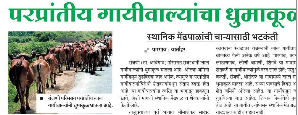 Looking at Cartoons, Getting Along: So it was really about Hindi ...