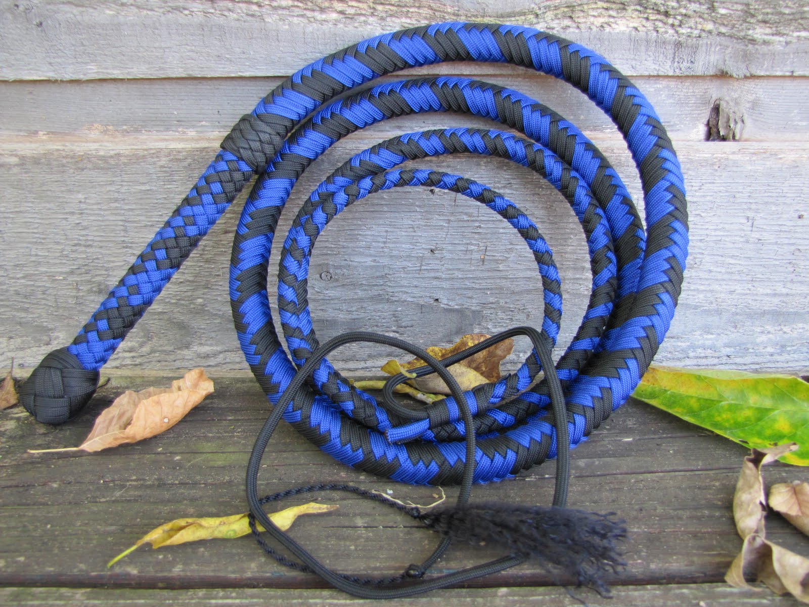 Happy Cracking: Ryan's Nylon Whip Blog: Bullwhip Pictures