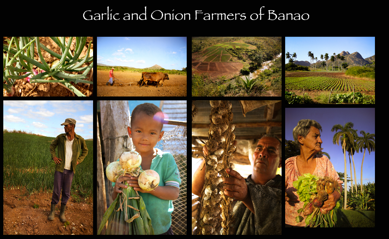Lives in Tandem: Snapshots from Cuba's Sustainable Farming Community