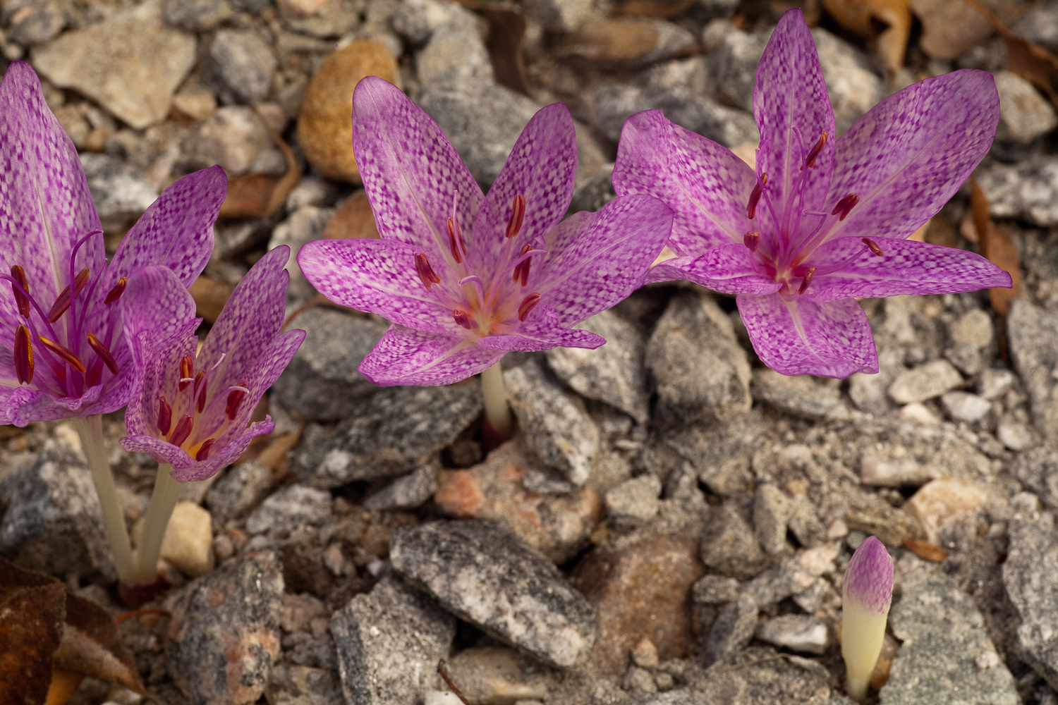 End to the Long Hot Summer