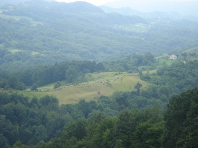 INTERACTIVE MAPS & PHOTOS OF SREBRENICA PEACE MARCH 2009 | Srebrenica ...
