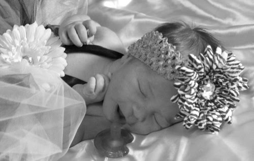 amber king photography: Welcome Sophia Lynn Abernathy