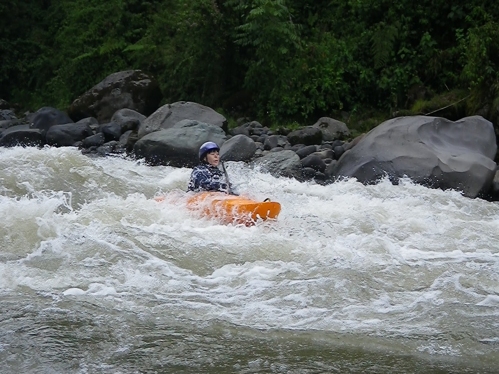 Small World Adventures--Kayak Ecuador: Cuy--AKA Guinea Pigs.