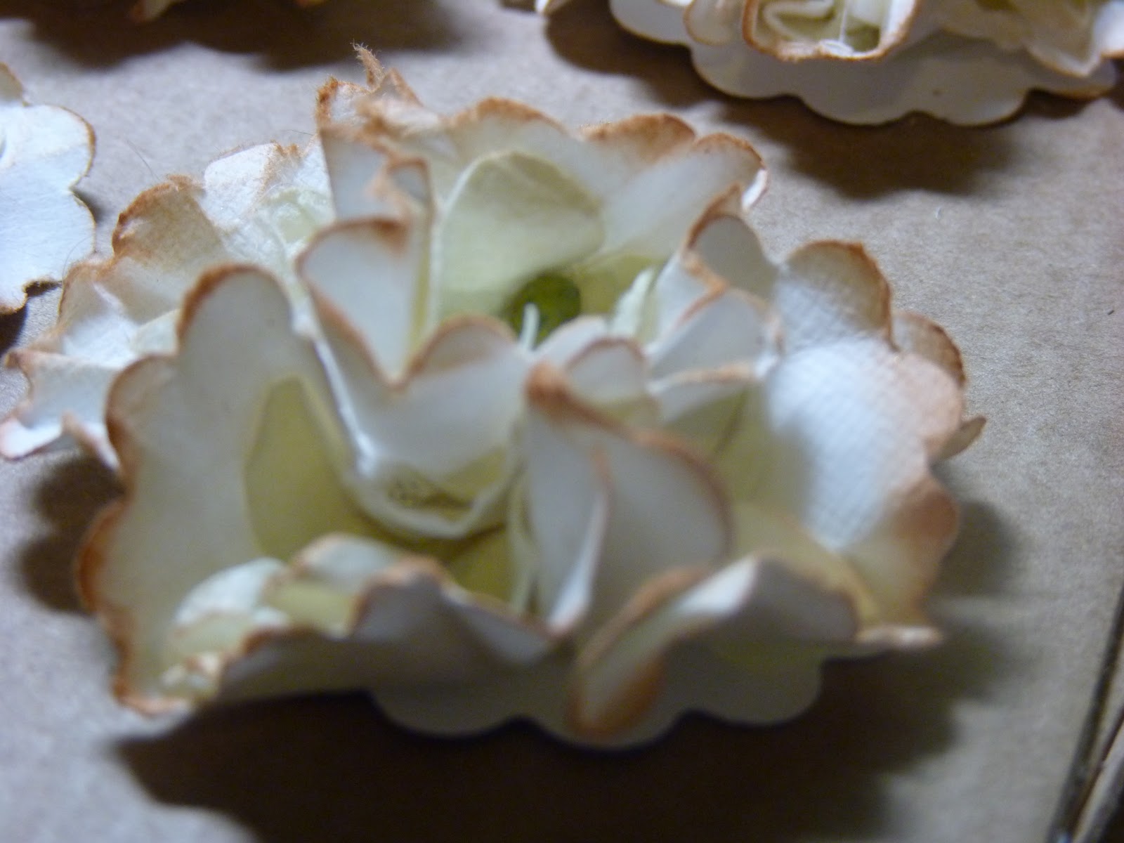 A Soul's Heartbeat: Ruffled Petal Flowers