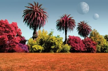 Jonathan Chilvers's Instagram, Twitter & Facebook on IDCrawl