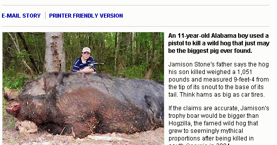 Whizzers's Place: A monster of a Hog