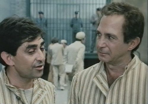 metaforismi: Il camorrista