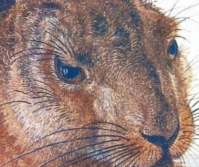 ALBERTO DURERO | ENSEÑ-ARTE