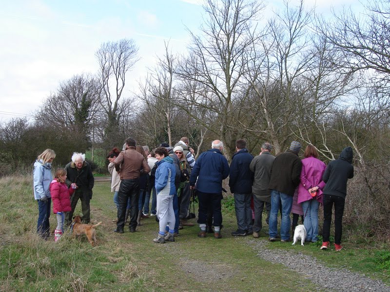 MERSEA WILDLIFE: SNAKE-WALK