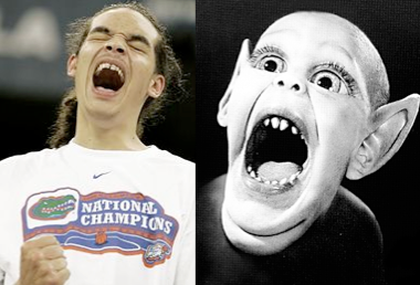 Korked Bats Look Alikes - Bat Noah