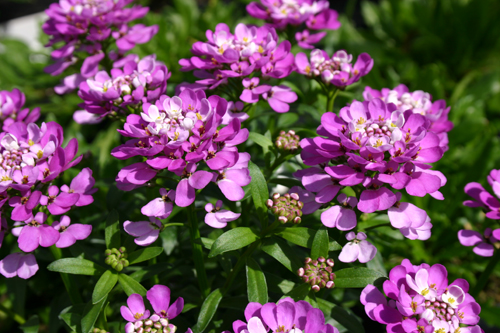 Phil Dowding PR: client news: September 2010