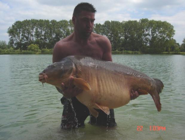 World record carp The Scar caught again at 99lb