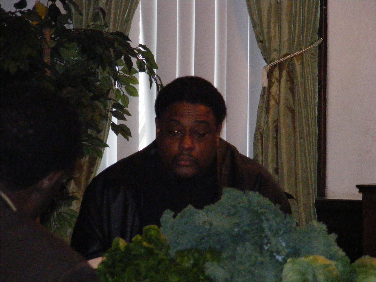 Operation Spring Plant: Market Barriers and Ventures