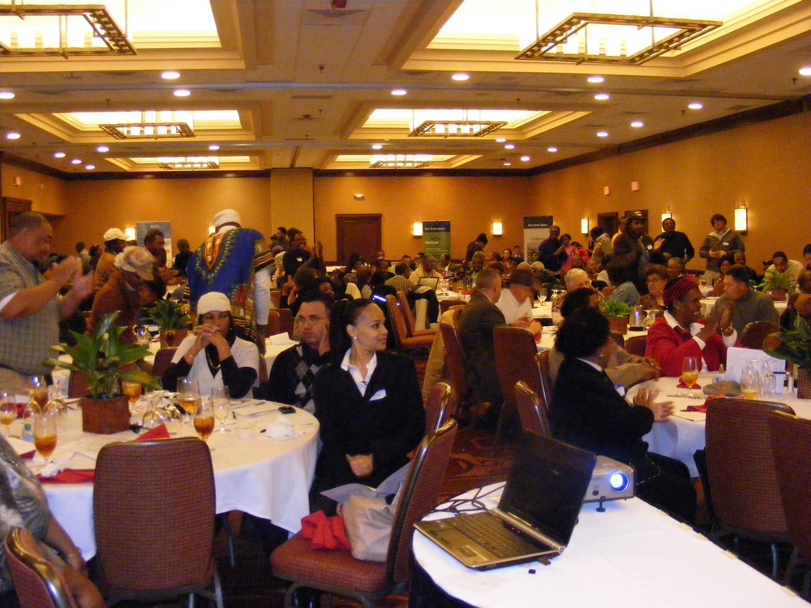 Operation Spring Plant