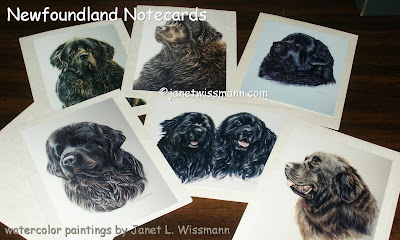 Newfoundland - Newfoundland Note Cards