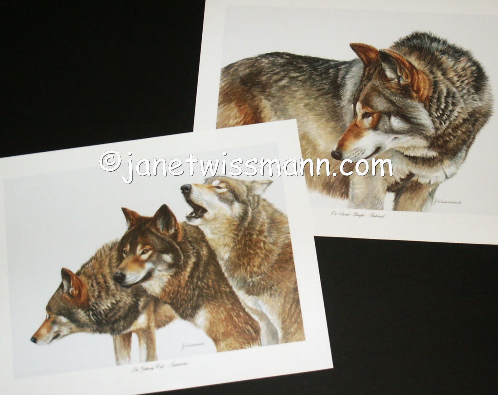 "On Second Thought" & "The Gathering Call"