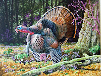 Wildlife Art of Terry Hoyt