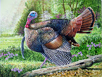 Wildlife Art of Terry Hoyt