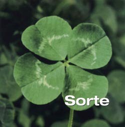 AGENDA DIGITAL: O QUE É TER SORTE?