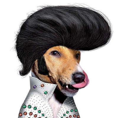 The Ferchompirianos: Animales Rockeros