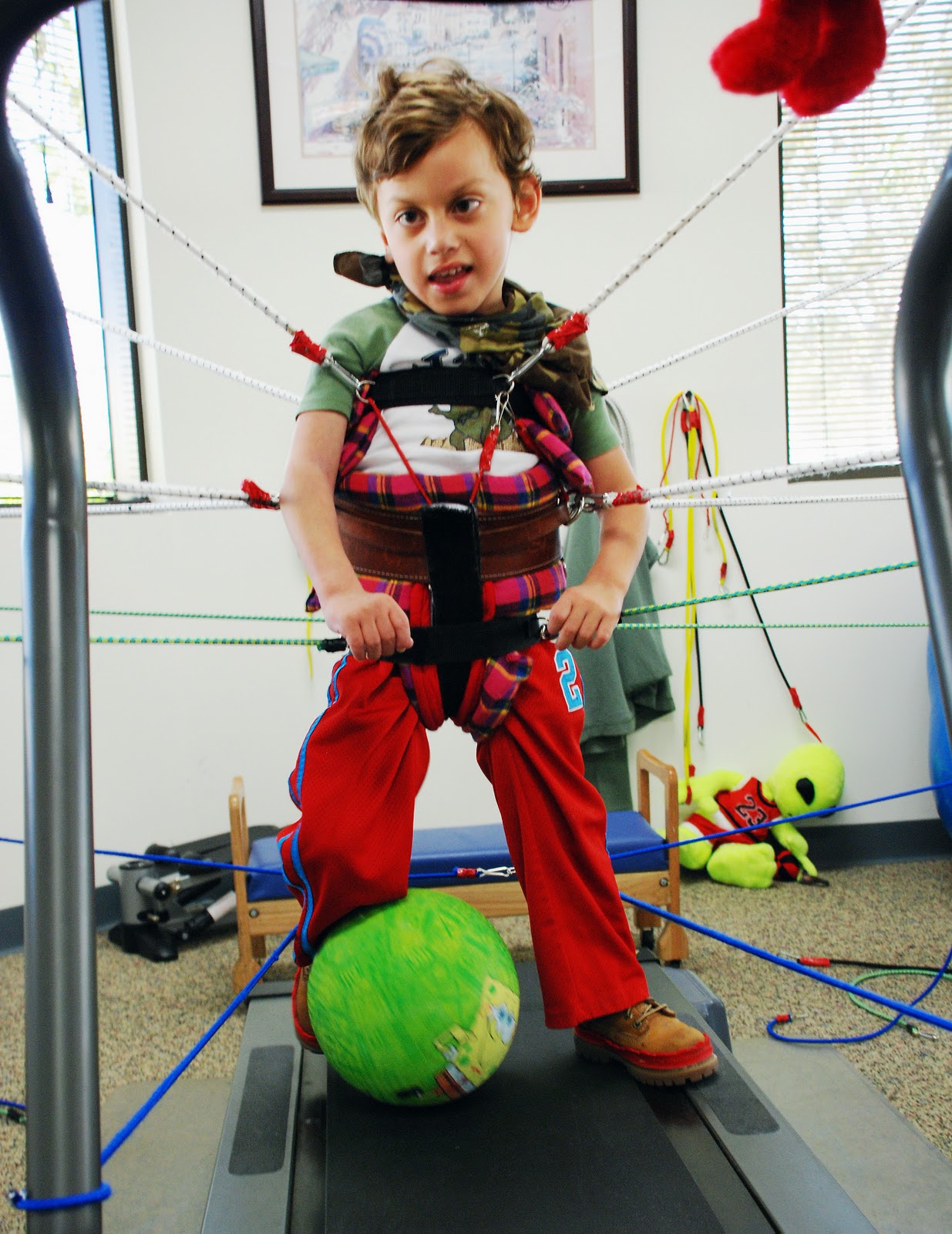 Polfit Wellness: Spider Web Therapy