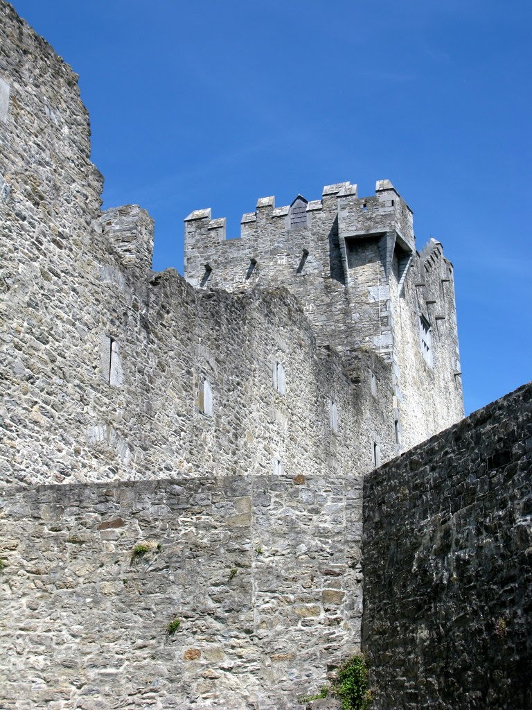 Seeing Anew: May 2010