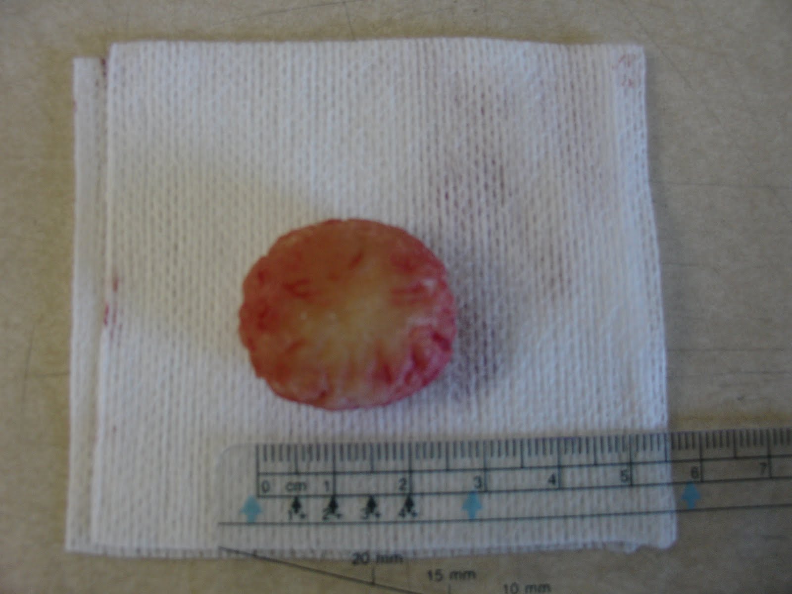 Verandah Pet Vet: Urinary Calculi: Bladder and Kidney Stones