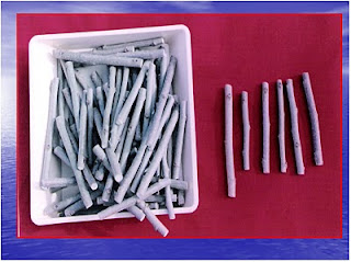 the silkworm: PACKAGE OF PRACTICES FOR MULBERRY CULTIVATION AS TREE ...