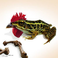 English is all around: Listening to Jokes: The Chicken and the Frog