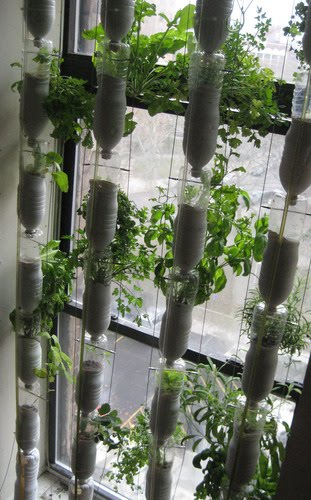 The PURE Gardener, Inc.: The Window Farms Project - Vertical Gardening