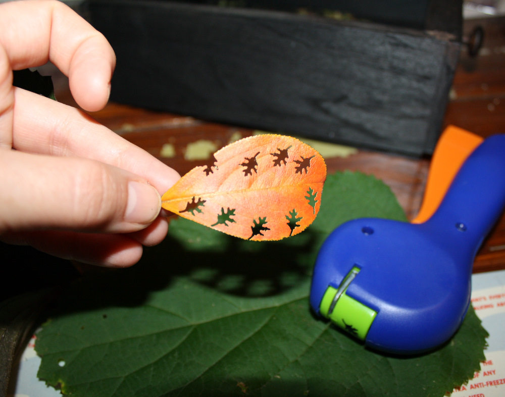The PURE Gardener, Inc.: How to Make "Real" Miniature Fall Leaves