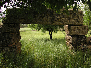 Kuru: cultural heritage and community