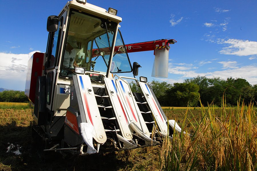 Transplante Mecanizado de Arroz: marzo 2010