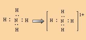 Química: Bloque 5 Enlace químico