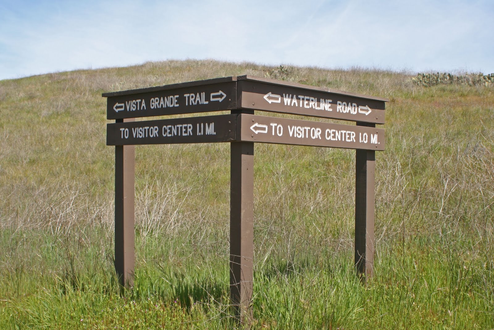 Camissonia's Corner: Treks on the Santa Rosa Plateau: Vista Grande ...