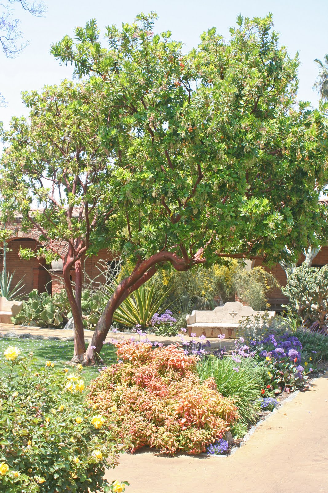 Camissonia's Corner: My New Mission is to see all the Missions...First ...